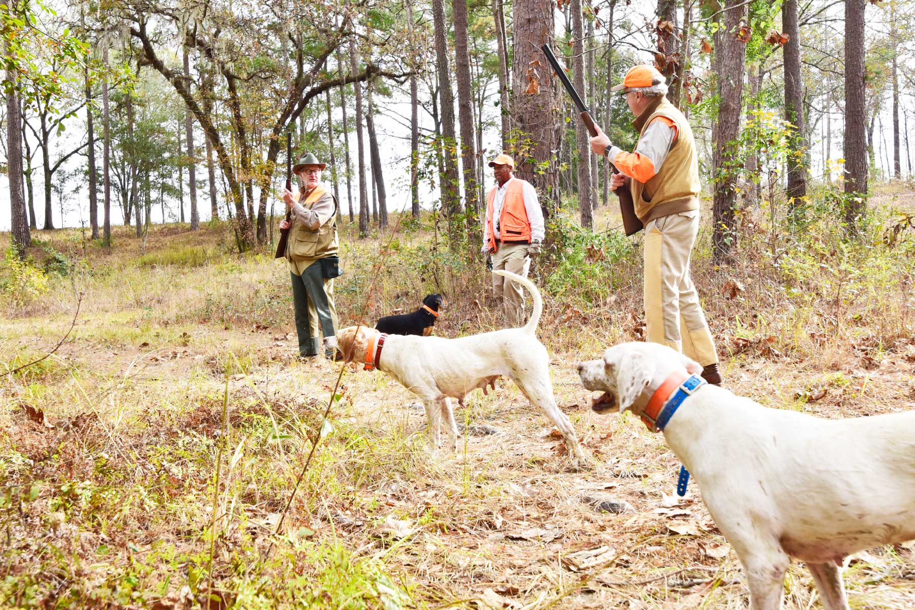 Hunters: The Three Phases - Riverview Plantation